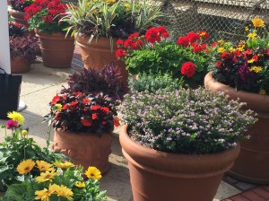 Traveling with Portable Craft Projects – Simply Made Kitchen and Crafts